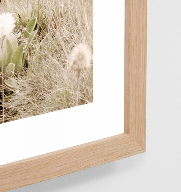 AUSTRALIAN ALPINE SPRING - FRAMED PRINT – The Banyan Tree Furniture ...