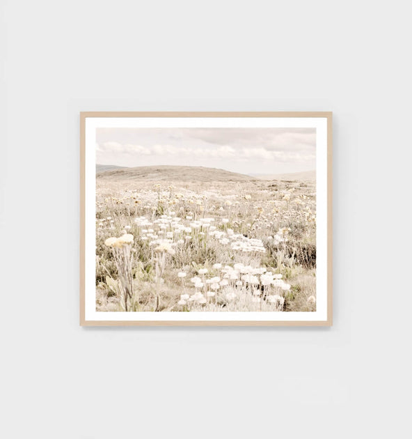 AUSTRALIAN ALPINE SPRING - FRAMED PRINT – The Banyan Tree Furniture ...