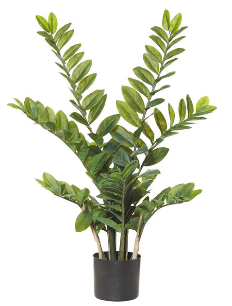 ZANZIBAR GEM – The Banyan Tree Furniture & Homewares