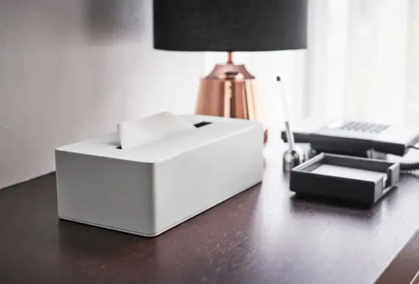 YAMAZAKI TISSUE BOX CASE – The Banyan Tree Furniture & Homewares