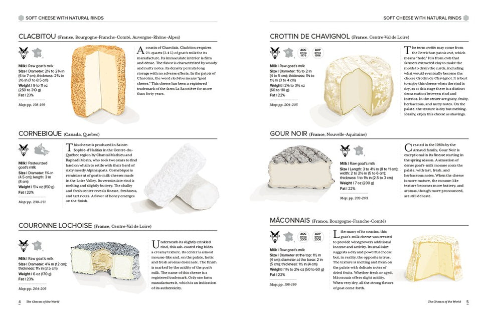 A FIELD GUIDE TO CHEESE BY TRISTAN SICARD – The Banyan Tree Furniture ...
